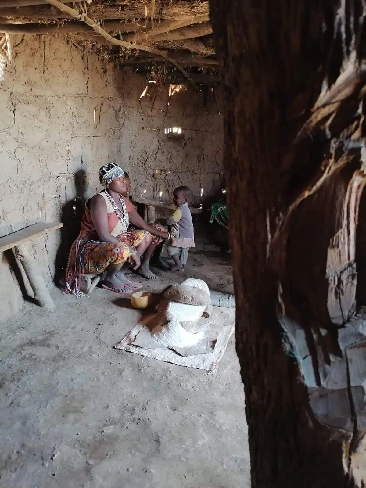 8 Days Culture & Safari Tour - Lion Guides Safaris